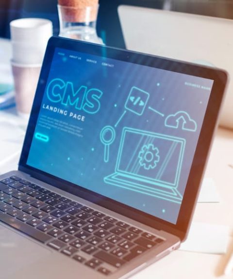 Custom CMS Development Services | CMS Solutions